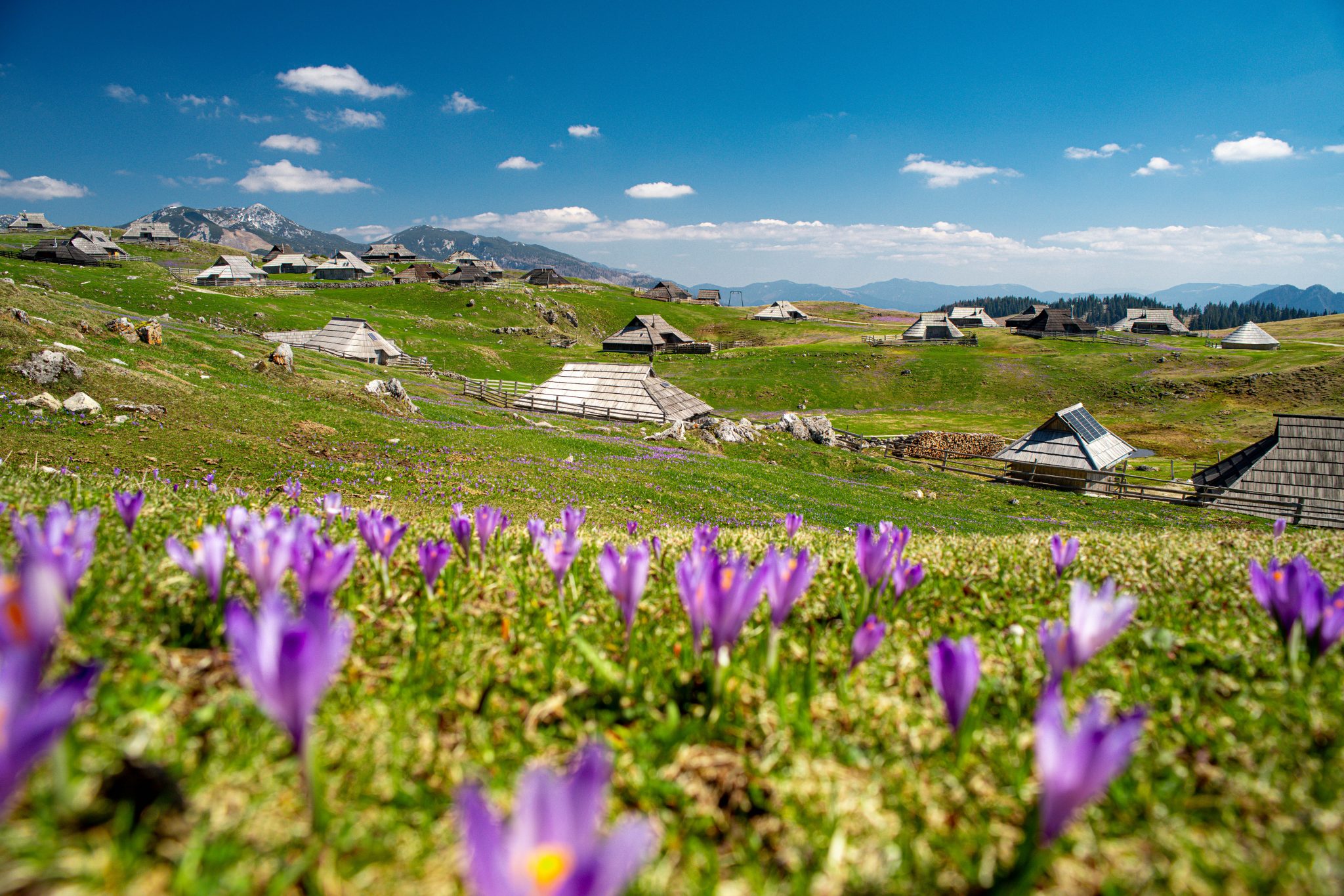 Velika planina - Aktivno preživljanje prostega časa, najem koč - Velika ...